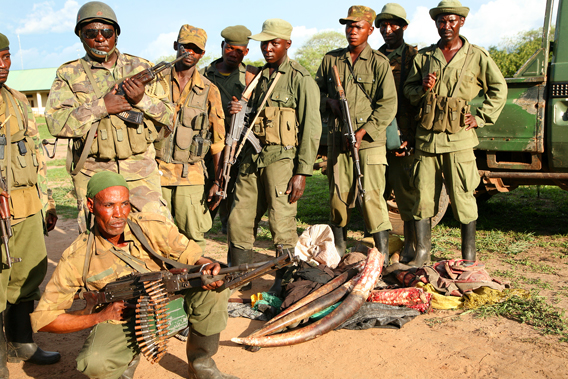 PRESS RELEASE: GARAMBA RANGERS FUND - Elephanatics