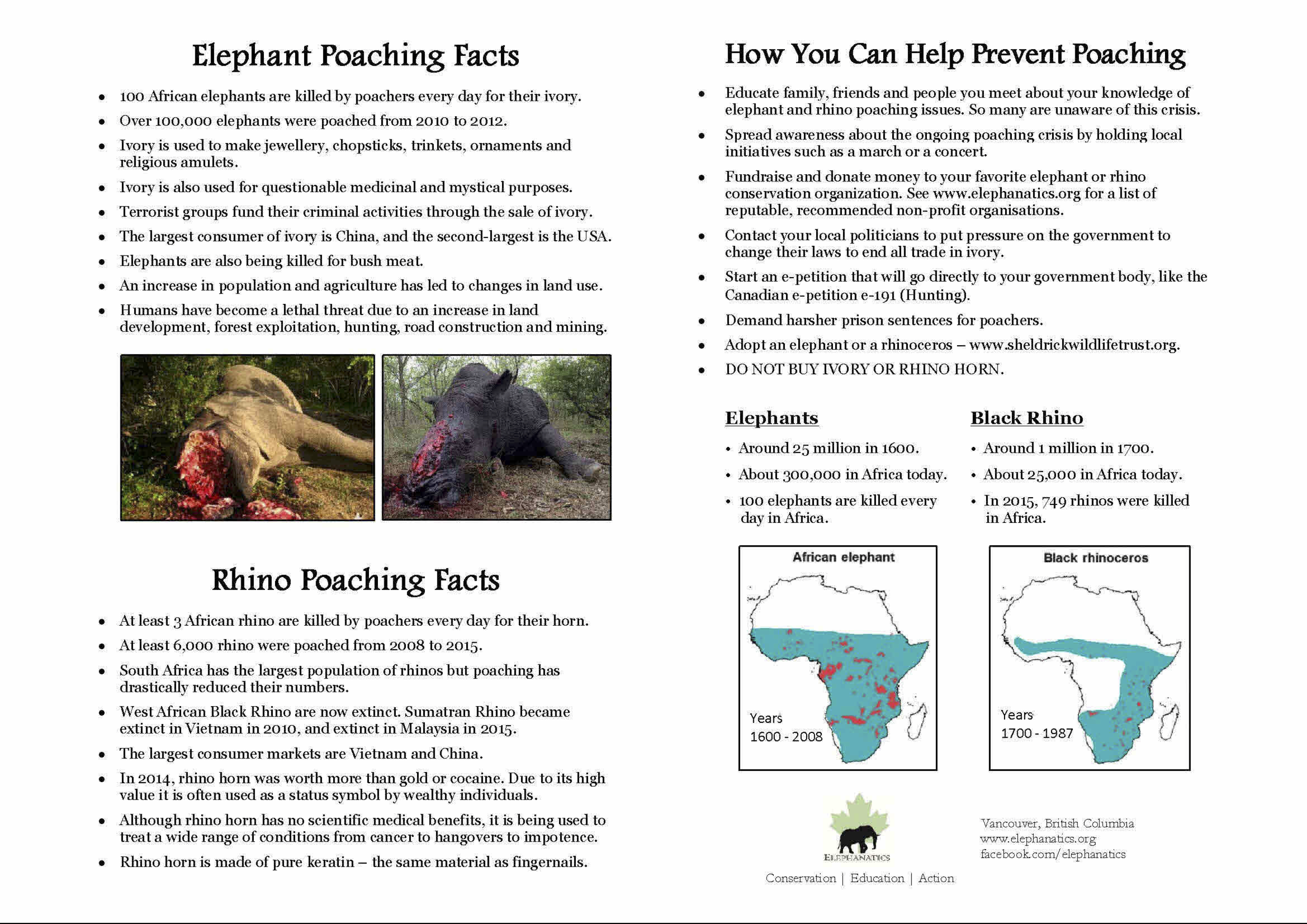 Facts & Figures | Elephanatics