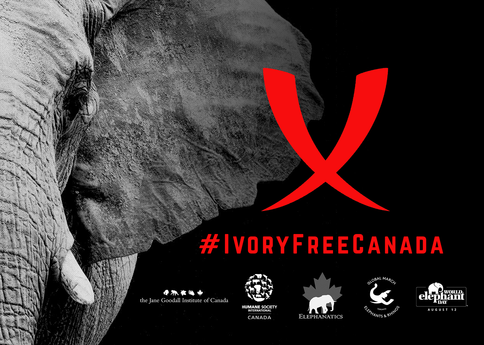 Why Worry About African and Asian Elephants in BC Canada ...