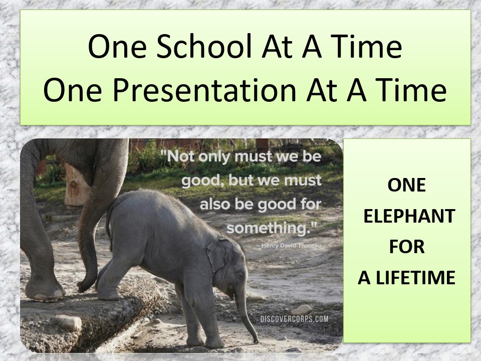 Elephanatics Newsletter September 2025 - Elephanatics Foundation